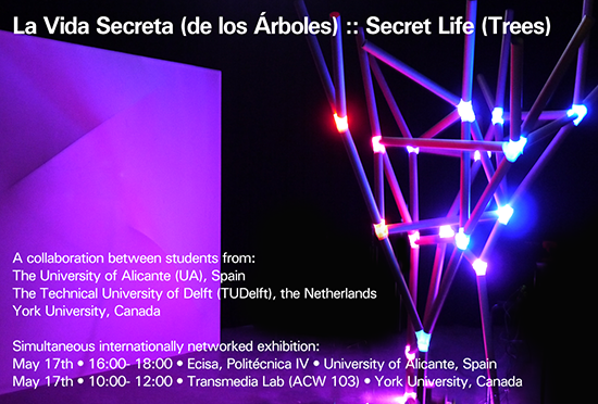 CRET LIFE TREES VIDA SECRETA RBOLES Proyectos Arquitect nicos UA cret-life-trees-vida-secreta-rboles-proyectos-arquitect-nicos-ua
